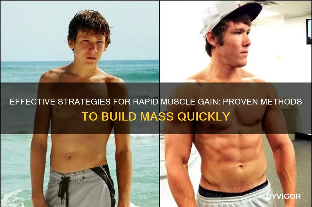 Effective Strategies For Rapid Muscle Gain: Proven Methods To Build ...