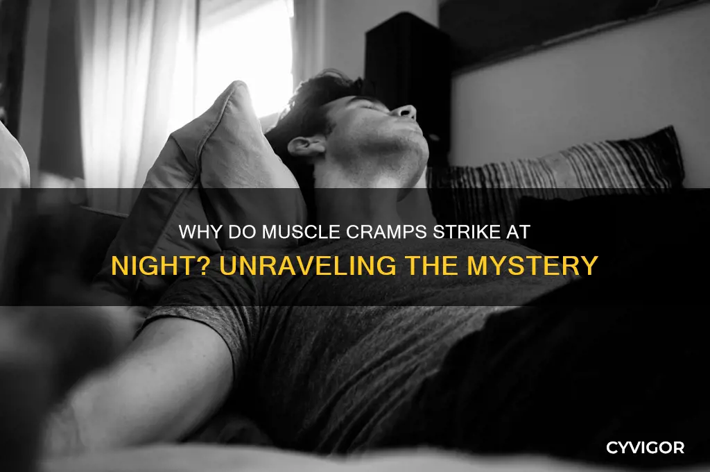 Why Do Muscle Cramps Strike At Night? Unraveling The Mystery | CyVigor