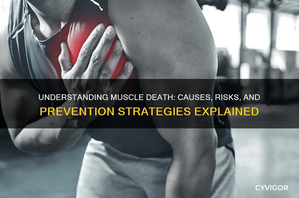 Understanding Muscle Death: Causes, Risks, And Prevention Strategies ...
