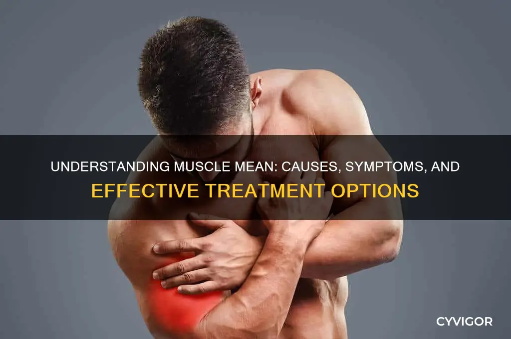 Understanding Muscle Mean: Causes, Symptoms, And Effective Treatment ...