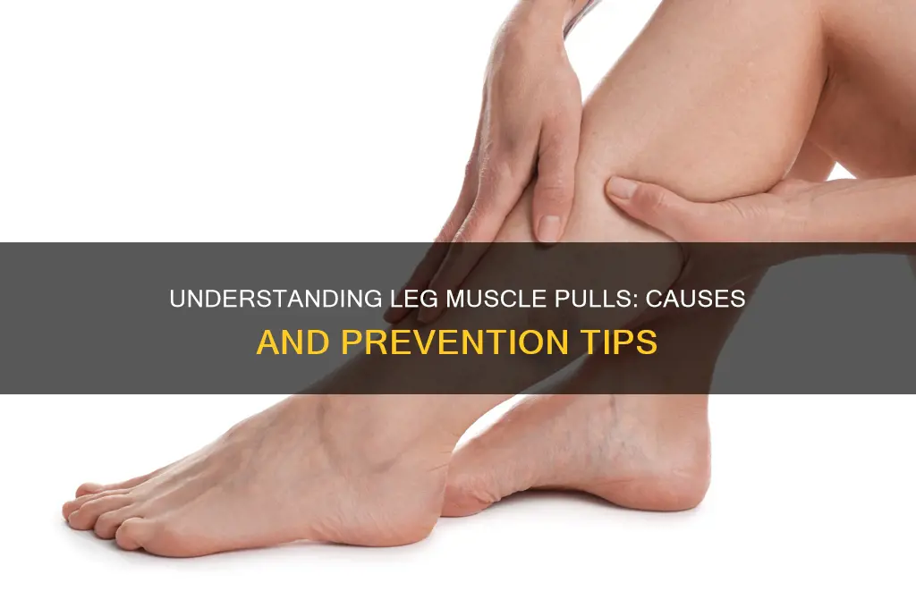 Understanding Leg Muscle Pulls: Causes And Prevention Tips | CyVigor