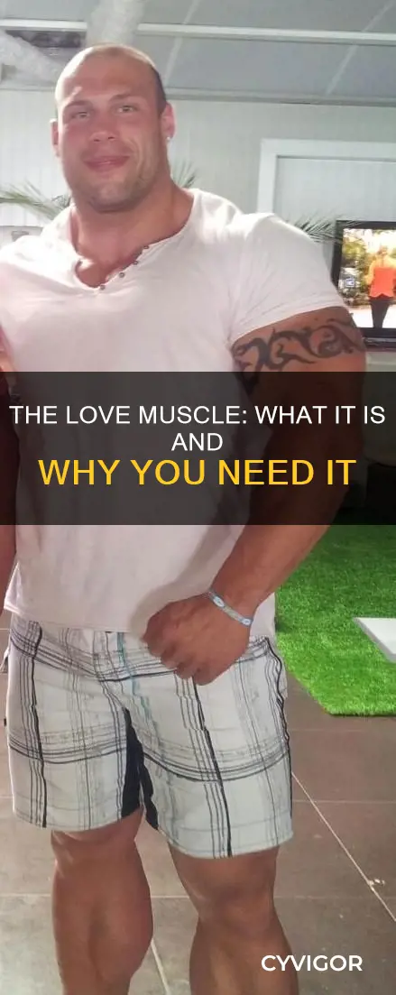 The Love Muscle: What It Is And Why You Need It | CyVigor