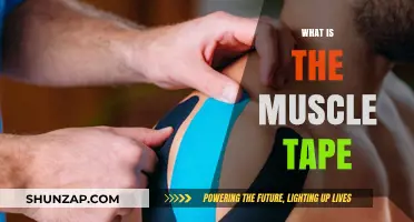 Exploring The Human Body's Longest Muscle | CyVigor