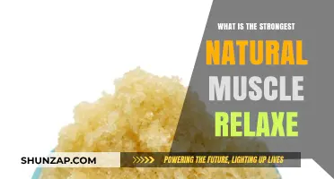 Understanding Smooth Muscle's Stress Relaxation Response: Mechanisms ...