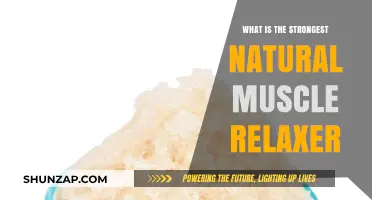 Safe Muscle Relaxers For Seniors: Top Options And Considerations | CyVigor