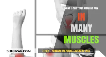 Understanding Myalgia: The Medical Term For Muscle Pain Explained | CyVigor
