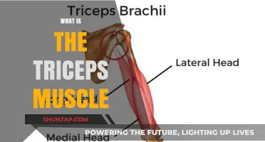 Understanding Thenar Muscle Atrophy: Causes And Implications | CyVigor