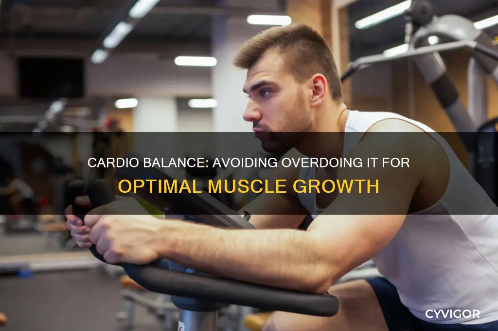 Cardio Balance: Avoiding Overdoing It For Optimal Muscle Growth | CyVigor