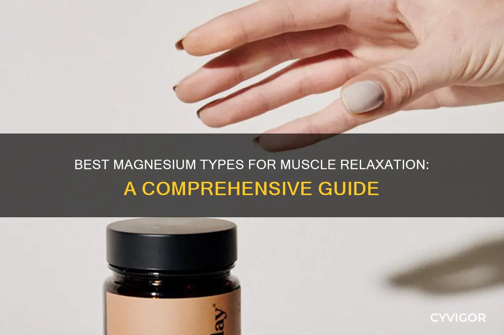 Best Magnesium Types For Muscle Relaxation: A Comprehensive Guide | CyVigor