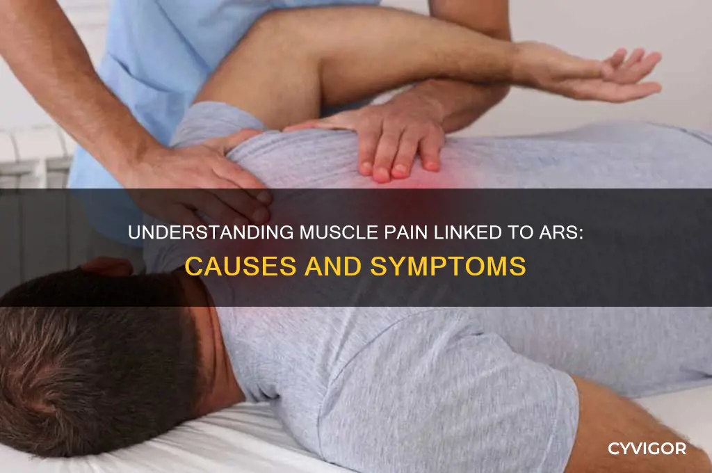 Understanding Muscle Pain Linked To Ars: Causes And Symptoms | CyVigor