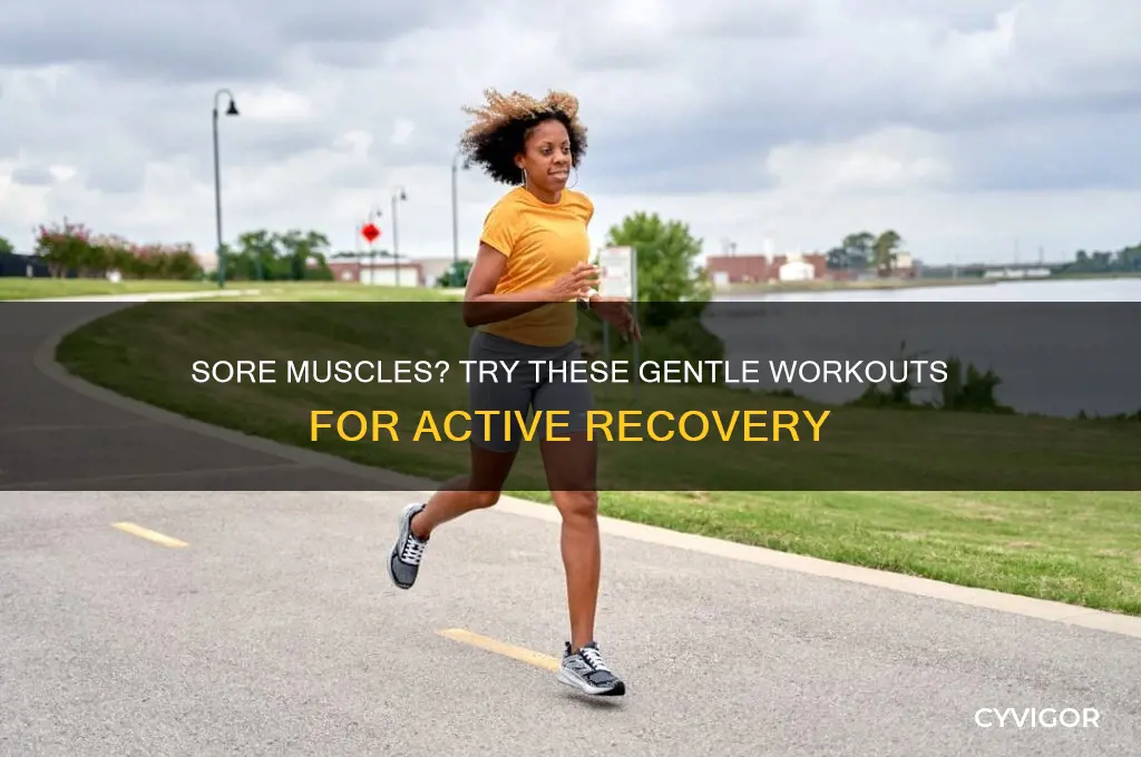Sore Muscles? Try These Gentle Workouts For Active Recovery | CyVigor