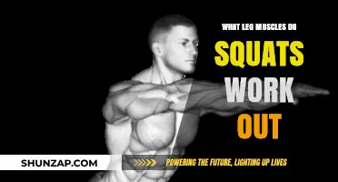 Leg Press Muscles: Targeted Lower Body Strength Training Explained ...
