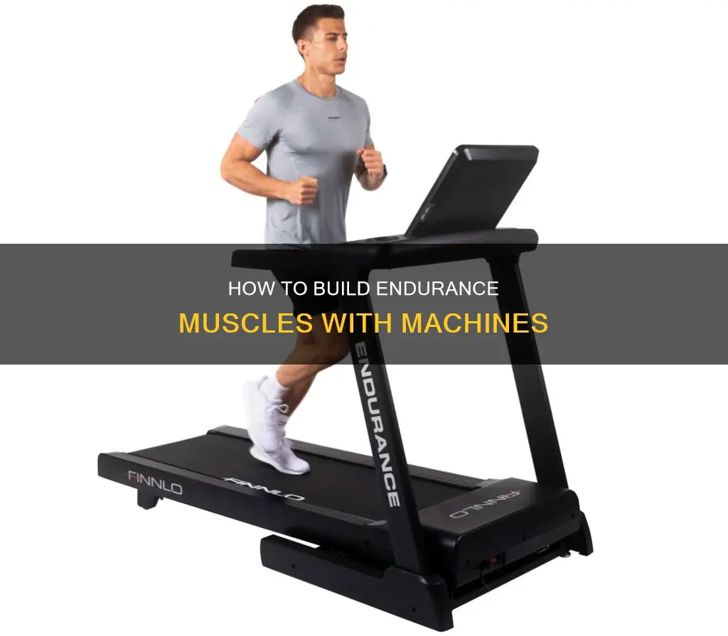 How To Build Endurance Muscles With Machines | CyVigor