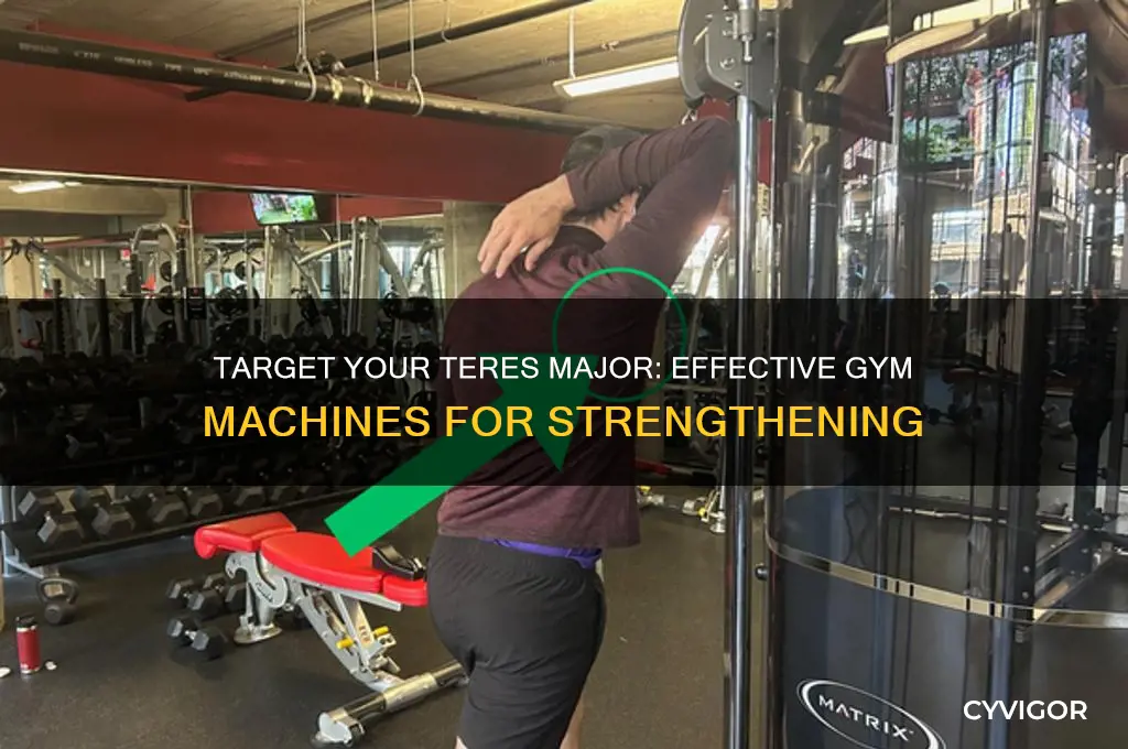 Target Your Teres Major: Effective Gym Machines For Strengthening | CyVigor