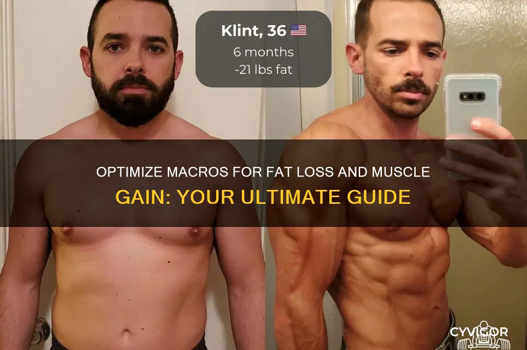Optimize Macros For Fat Loss And Muscle Gain: Your Ultimate Guide | CyVigor