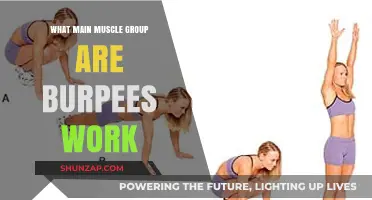 Reverse Lunges: Targeting Key Muscle Groups For Strength And Stability ...