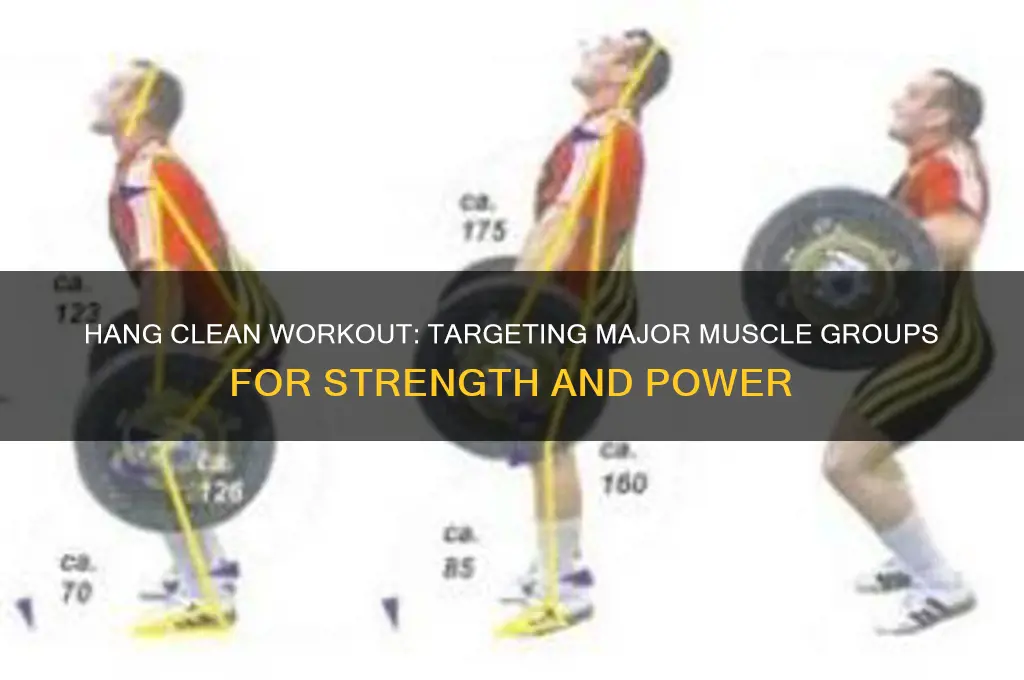 Hang Clean Workout: Targeting Major Muscle Groups For Strength And ...