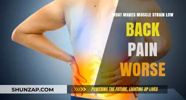 Understanding Clavicle Muscle Pain: Causes, Symptoms, And Effective ...