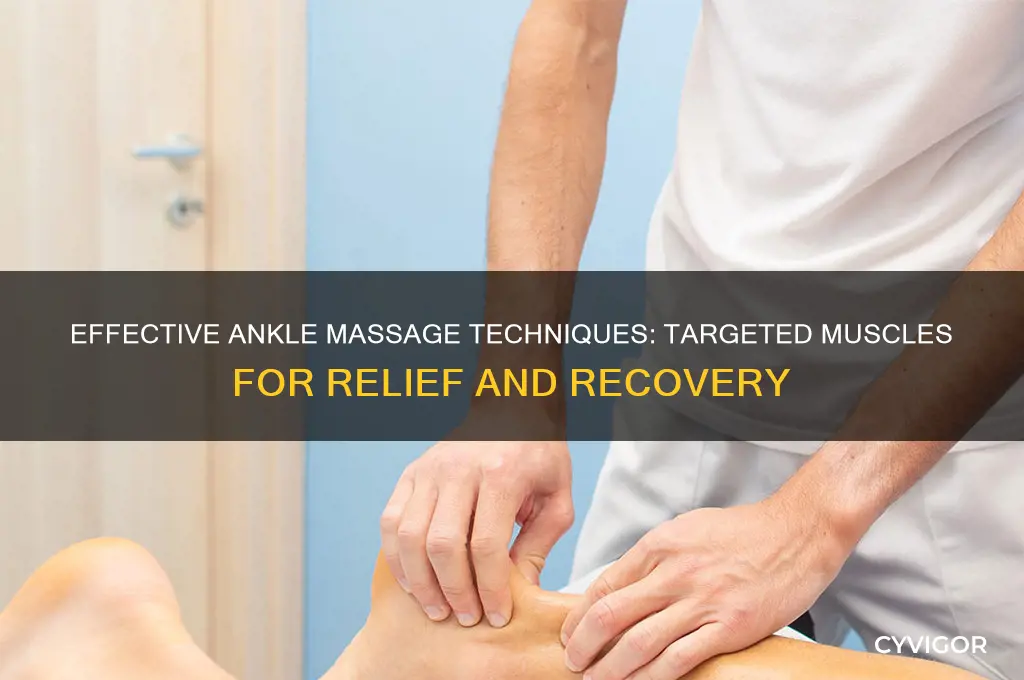 Effective Ankle Massage Techniques: Targeted Muscles For Relief And ...
