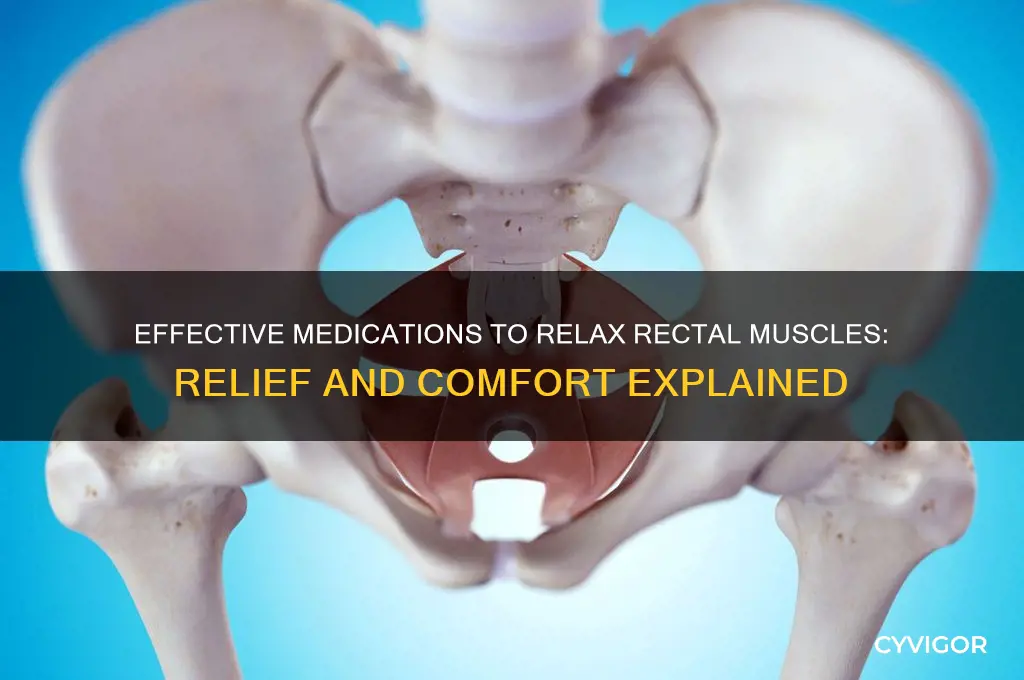 Effective Medications To Relax Rectal Muscles: Relief And Comfort ...