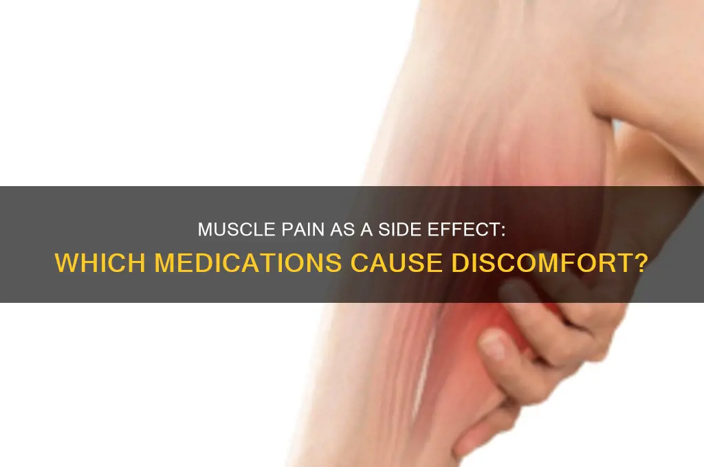 Muscle Pain As A Side Effect: Which Medications Cause Discomfort? | CyVigor