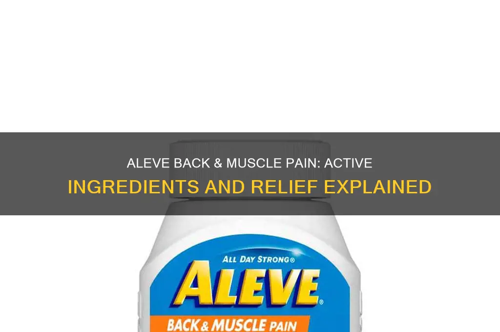 Aleve Back & Muscle Pain: Active Ingredients And Relief Explained | CyVigor