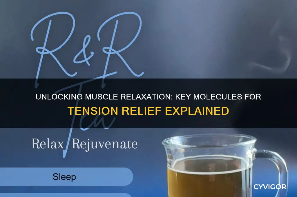Unlocking Muscle Relaxation: Key Molecules For Tension Relief Explained ...