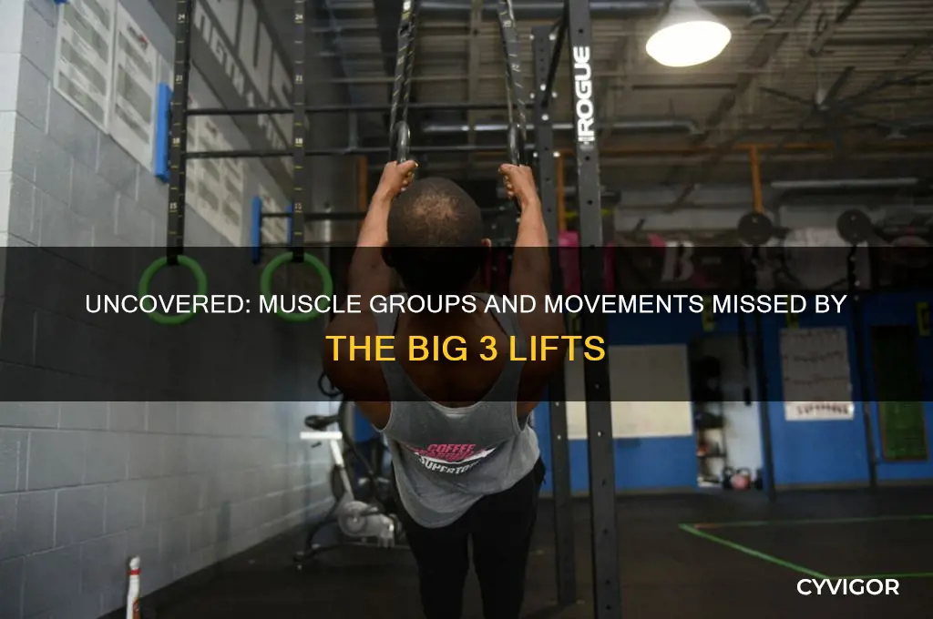 Uncovered: Muscle Groups And Movements Missed By The Big 3 Lifts | CyVigor