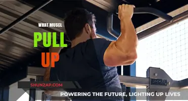 Inner Thigh Muscle Pull: Identifying Strained Adductor Symptoms And ...