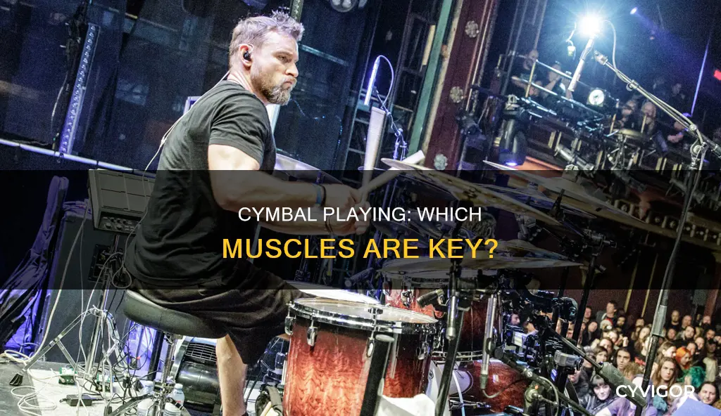 Cymbal Playing: Which Muscles Are Key? | CyVigor