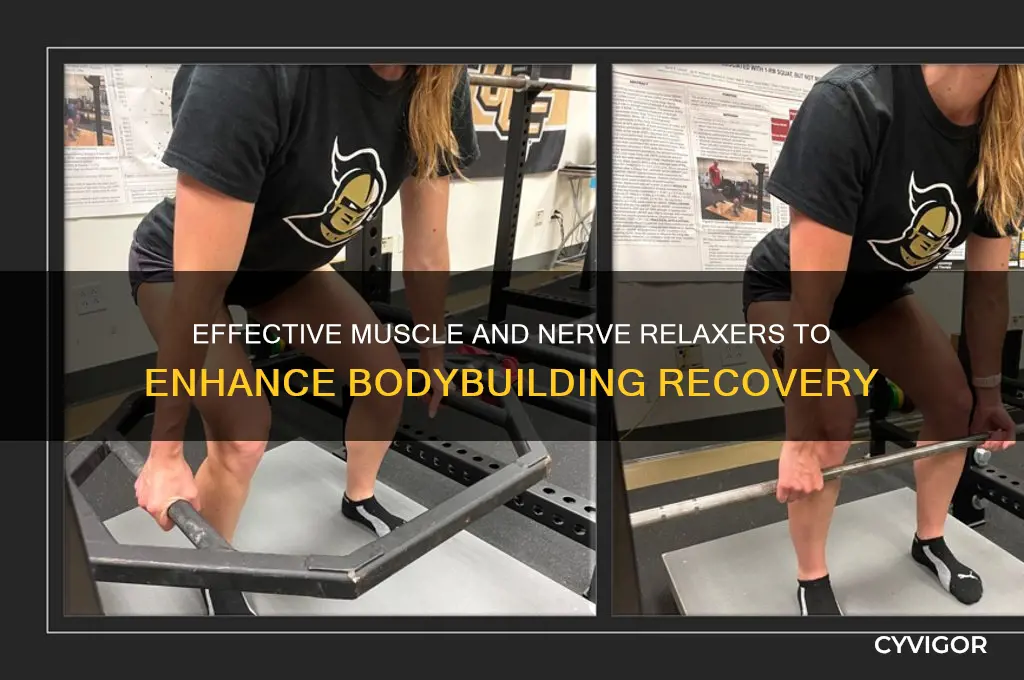 Effective Muscle And Nerve Relaxers To Enhance Bodybuilding Recovery ...