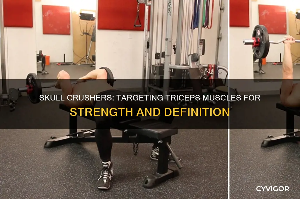 Skull Crushers: Targeting Triceps Muscles For Strength And Definition ...