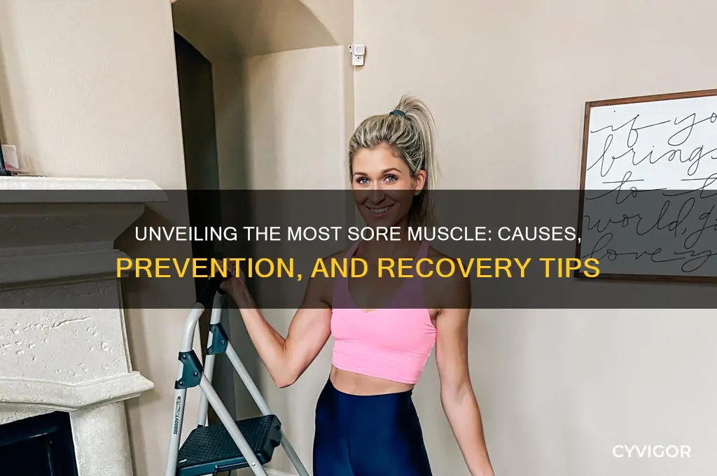 Unveiling The Most Sore Muscle: Causes, Prevention, And Recovery Tips ...