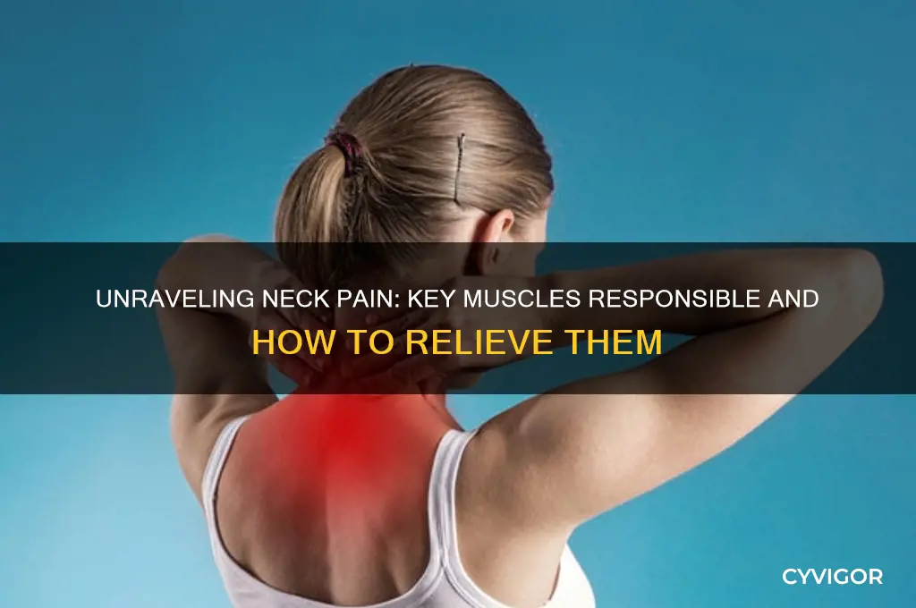 Unraveling Neck Pain: Key Muscles Responsible And How To Relieve Them ...