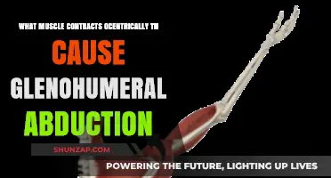 Understanding Ulnar Deviation: The Key Muscle Behind This Hand Movement ...