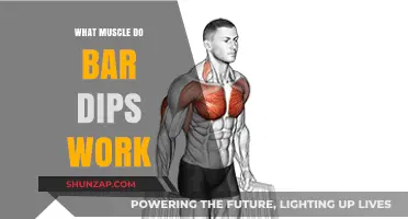 Back Squats: Target Muscles And Full-Body Strength Benefits Explained ...