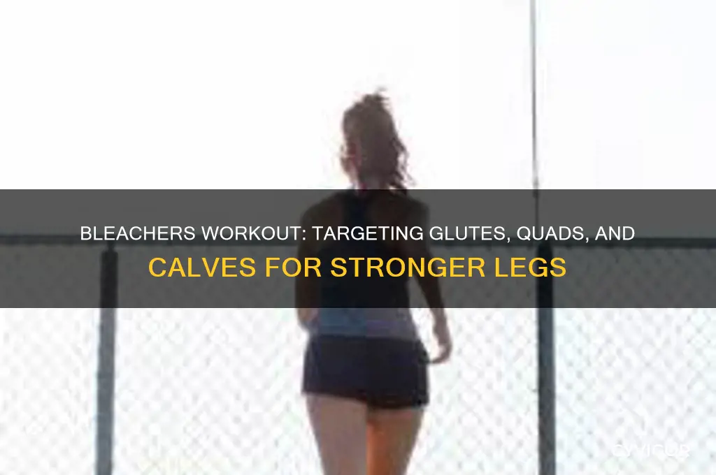 Bleachers Workout: Targeting Glutes, Quads, And Calves For Stronger ...