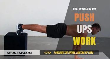 Burpees: A Full-Body Workout Targeting Multiple Muscle Groups Explained ...