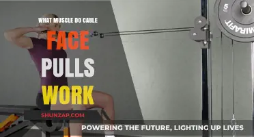 Chin Tucks: Targeting Neck Muscles For Posture And Strength | CyVigor