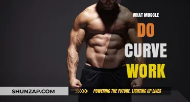 Dumbbell Press Muscles: Targeting Chest, Shoulders, And Triceps ...