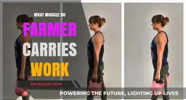 Heel Slides: Targeting Hamstrings, Calves, And Hip Flexors For ...