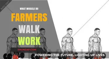 Hip Abductors: Muscles They Target And Strengthening Benefits Explained ...