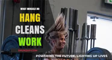 Hang Cleans: Target Muscles And Full-Body Benefits Explained | CyVigor