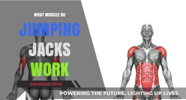 Hip Abductors: Muscles They Target And Strengthening Benefits Explained ...