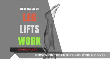 Low Rows: Target Muscles And Benefits For Strength Training | CyVigor
