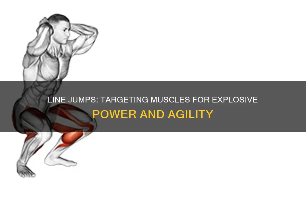 Line Jumps: Targeting Muscles For Explosive Power And Agility | CyVigor