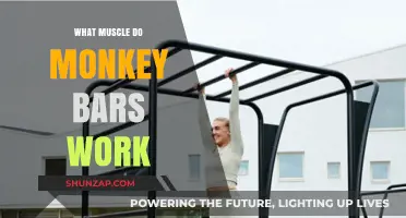 Lat Raises: Targeted Muscles And Effective Workout Benefits Explained ...