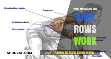 Pushups: Target Muscles, Benefits, And Proper Form Explained | CyVigor