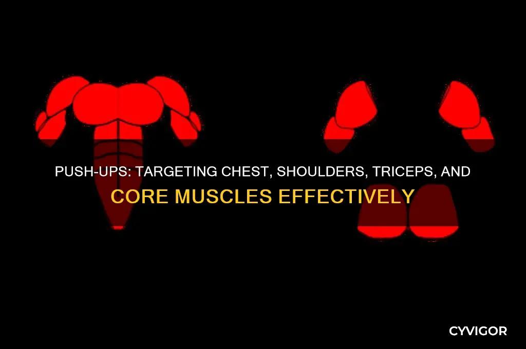 Push-Ups: Targeting Chest, Shoulders, Triceps, And Core Muscles ...