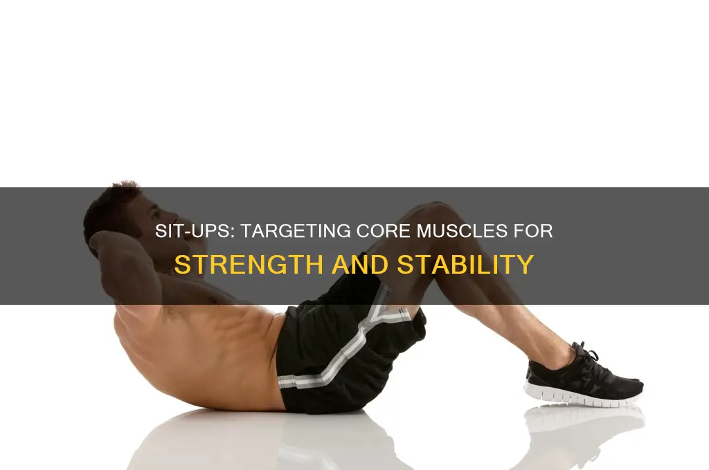 Sit-Ups: Targeting Core Muscles For Strength And Stability | CyVigor
